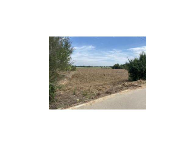 ขายที่ดิน5ไร่2งาน67ตารางวา ไร่ละ780,000 | ที่ดินร้อยแปด.คอม