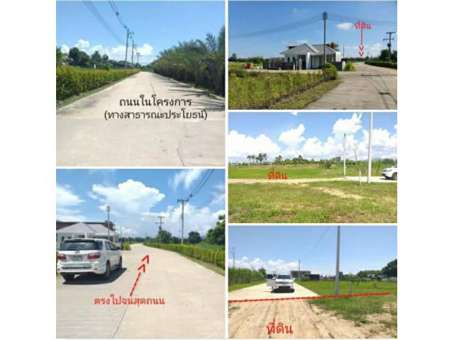 ฿*ขายที่ดิน13ไร่2งาน อยู่ข้าง ม.บ้านในฝัน4 ใกล้ถนนใหญ่สาย1317แค่700ม. ...