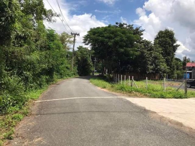 ขายทีี่ดินห่างสวนพฤกษศาสตร์เพียง 1 กม หนองควายหางดงพร้อมโอน ที่ดิน
