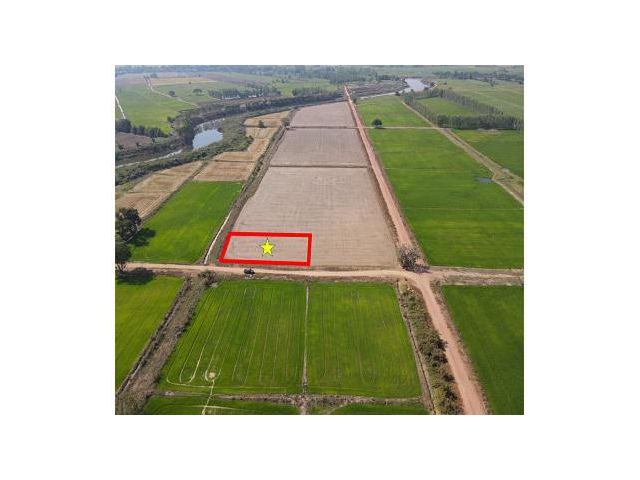 ขายที่ดิน 1 ไร่ 130,000 บาท จ.พิษณุโลก อ.บางระกำ ต.ชุมแสงสงคราม ...