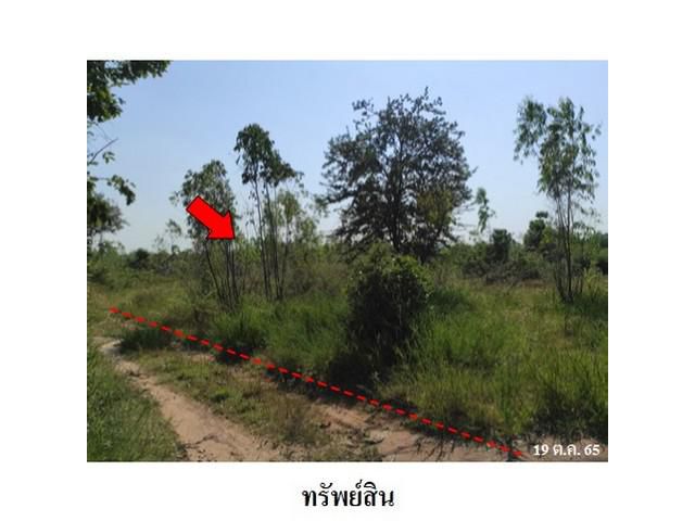 ขายที่ดินว่างเปล่า ต.นาฝาย อ.เมืองชัยภูมิ จังหวัด ชัยภูมิ | ที่ดินร้อย ...