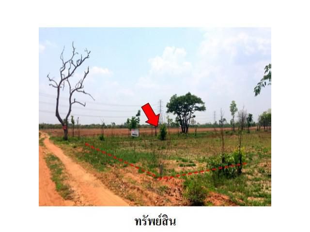 ขายที่ดินว่างเปล่า ต.ชีลอง อ.เมืองชัยภูมิ จังหวัด ชัยภูมิ | ที่ดินร้อย ...