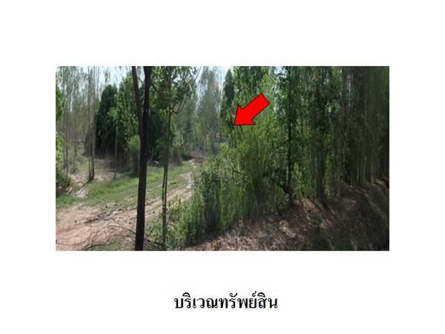 ขายที่ดินว่างเปล่า ต.รอบเมือง อำเภอ เมืองชัยภูมิ จังหวัด ชัยภูมิ ...