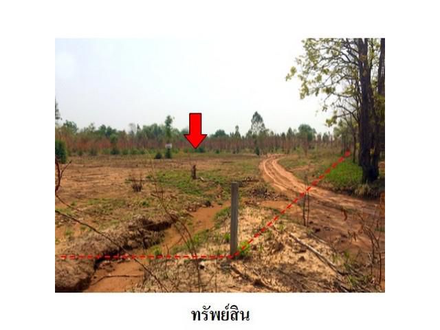 ขายที่ดินว่างเปล่า ต.นาฝาย อำเภอ เมืองชัยภูมิ จังหวัด ชัยภูมิ | ที่ดิน ...