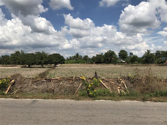 ที่ดิน ราคาุถูก สวย ติดถนนลาดยาง ย่านชุมชน น่าอยู่มาก | ที่ดินร้อยแปด.คอม