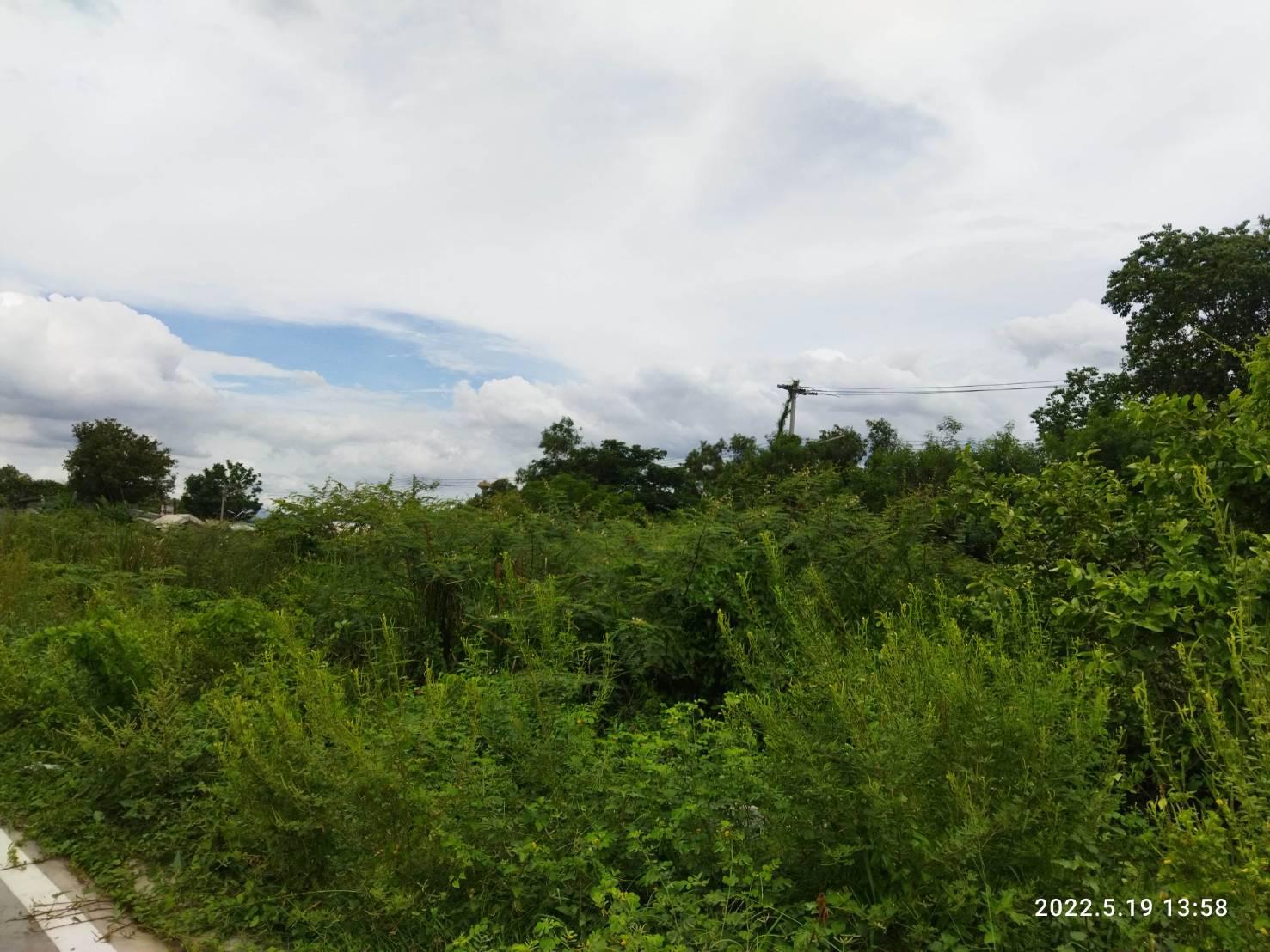 ขายด่วน️ที่ดิน 448 ไอยรา 26 ตรว. ราคาทั้งแปลง 5,376,000 บาท ต.คลองสอง ...