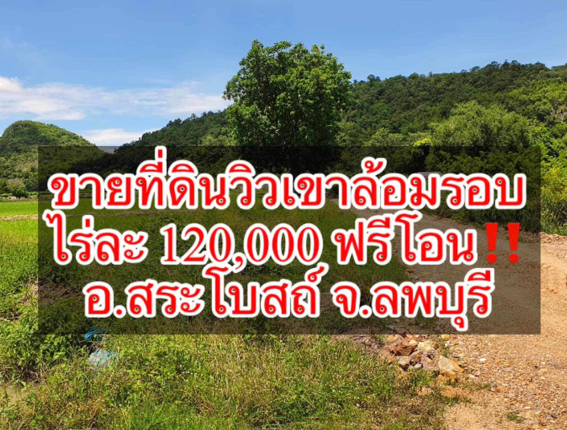 ายที่ดินวิภูเขาล้อมรอบ เนื้อที่7ไร่2งานเศษ #ราคาไร่ละ120,000บ (พร้อมโอน ...