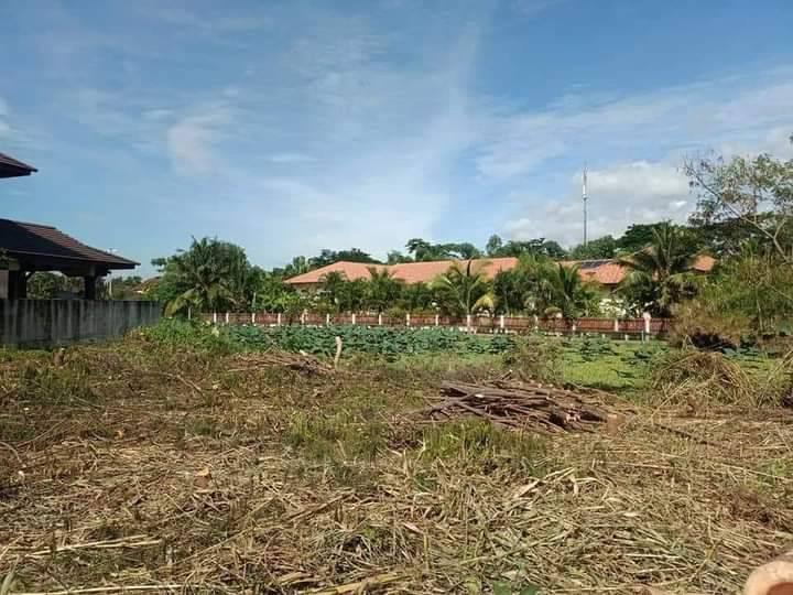 ขายที่ดินสันนาเม็งสันทรายในโครงการจัดสรรใกล้เมืองราคาถูก | ที่ดินร้อย ...