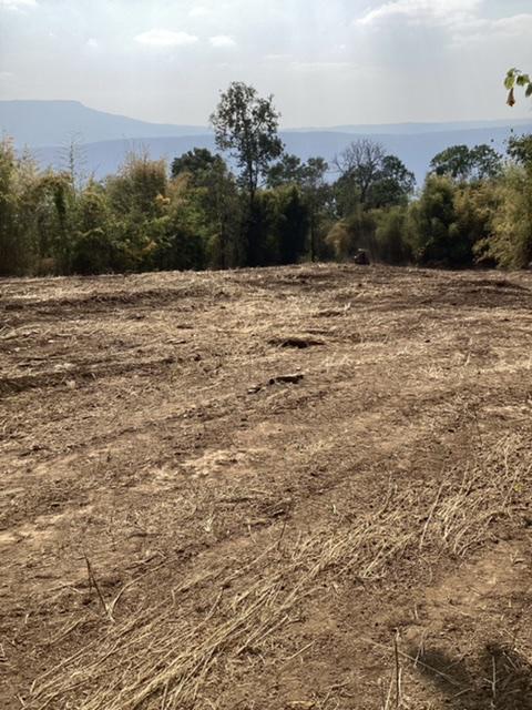 แบ่งขาย 1ไร่ 280000บาท | ที่ดินร้อยแปด.คอม