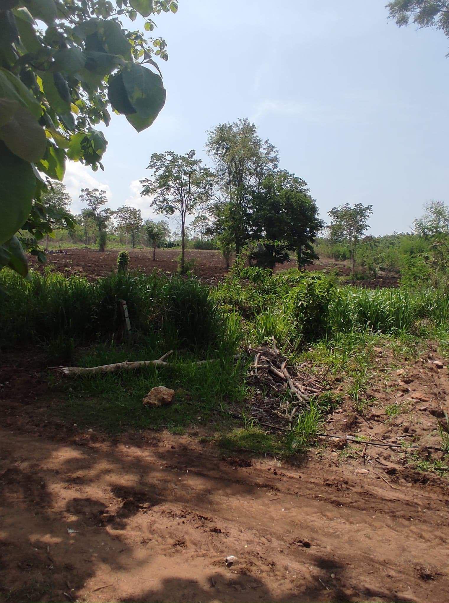 ขายที่โฉนด 44 – 1 – 90 ไร่ อยู่ ต.หินดาด อยู่ หลัง น้ำพุร้อนหินดาด ...