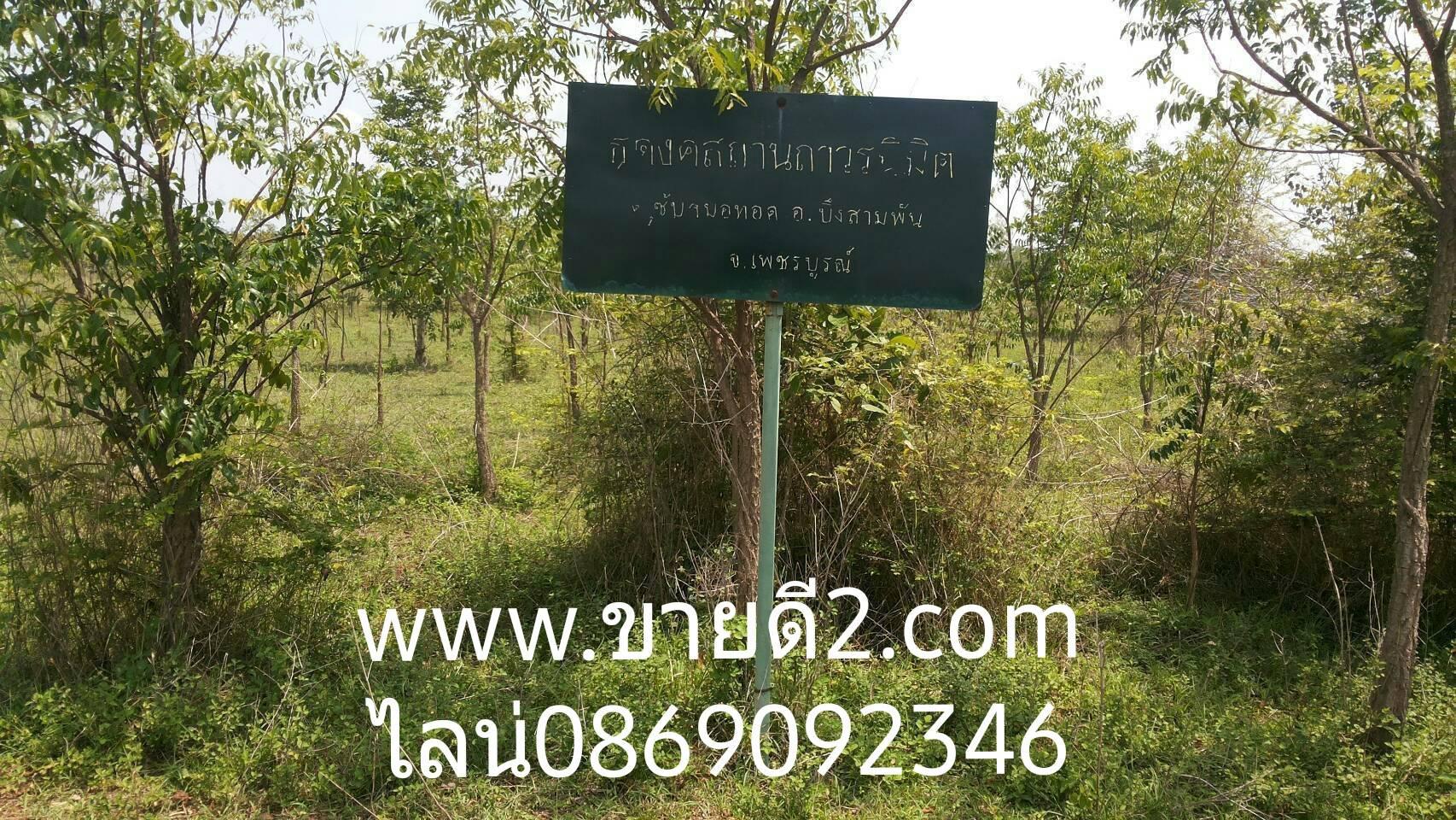 ขายที่ดิน1ไร่ผ่อนได้12งวดใกล้ห้างโลตัส | ที่ดินร้อยแปด.คอม
