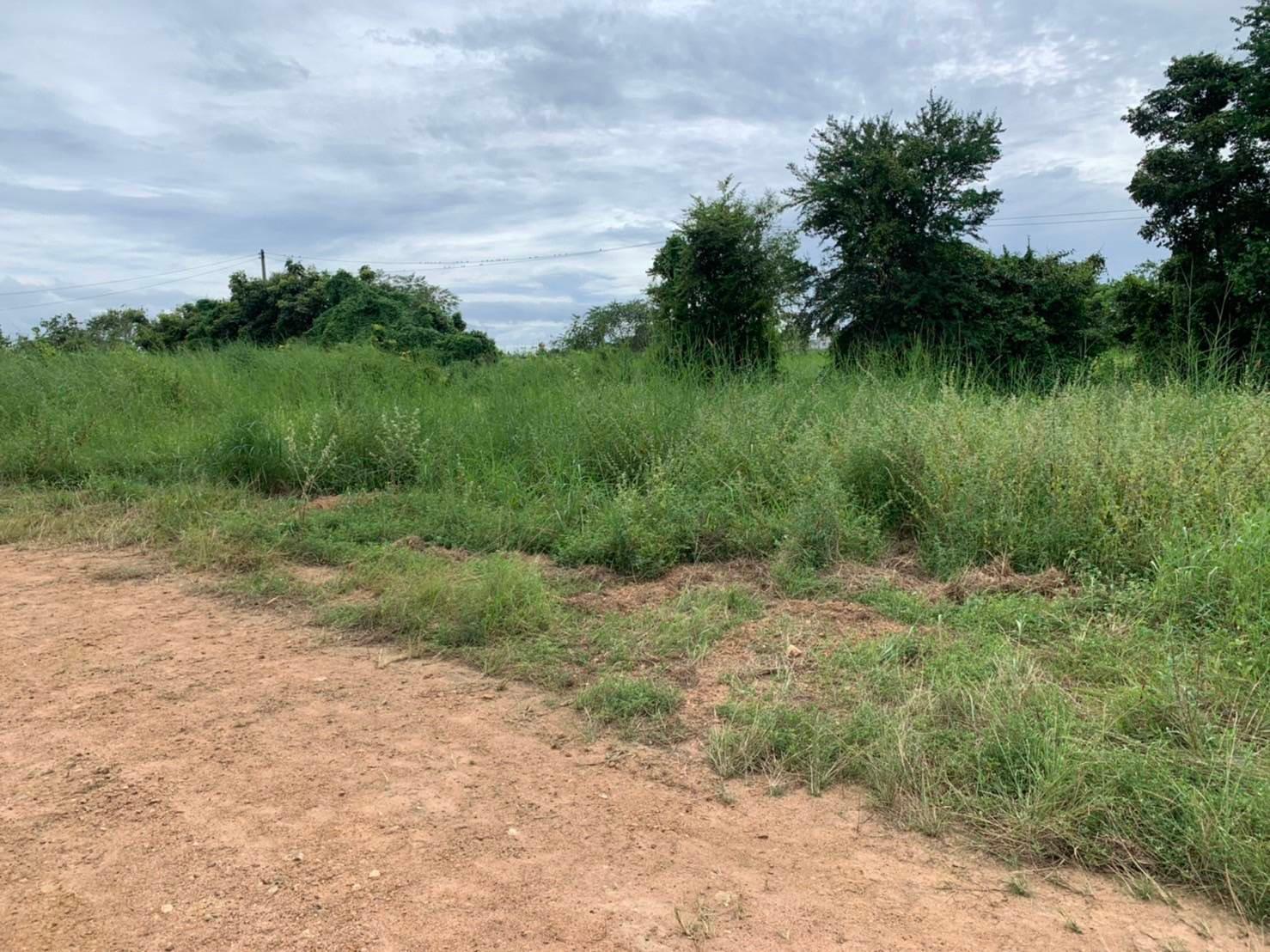 L304 ขายที่ดินสวยทำเลดี เนื้อที่ 1 ไร่ ใกล้เทศบาลตำบลห้วยใหญ่ บางละมุง ...